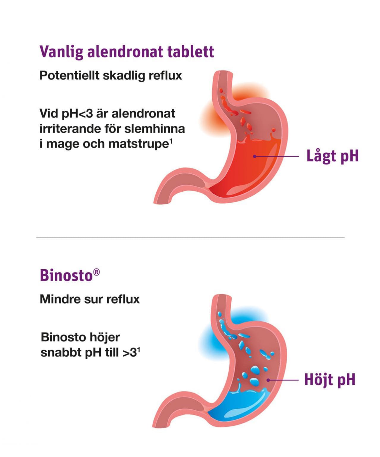 Startsidan - Binosto